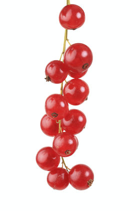 2 Rovanda Stock Pictures, Editorial Images and Stock Photos | Shutterstock