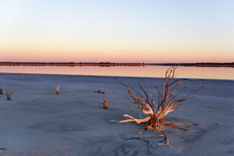 Lake Ninan Salt Lake Morning Light Editorial Stock Photo - Stock Image ...