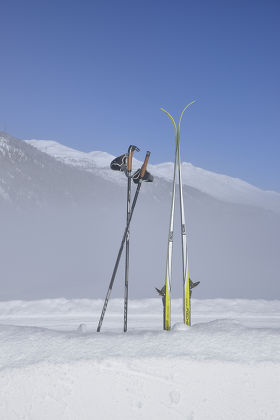 Crosscountry Skis Ski Poles Stuck Snow Editorial Stock Photo - Stock ...