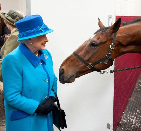 queen elizabeth ii animals Stock Photos (Exclusive) | Shutterstock