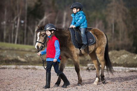250 Ponyboy Stock Pictures, Editorial Images and Stock Photos ...