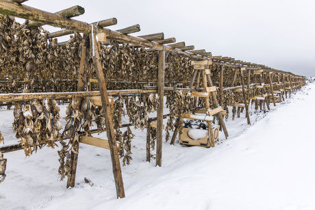 42 Dried fish racks Stock Pictures, Editorial Images and Stock Photos ...