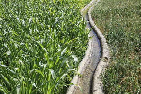 250 Irrigation ditch Stock Pictures, Editorial Images and Stock Photos ...