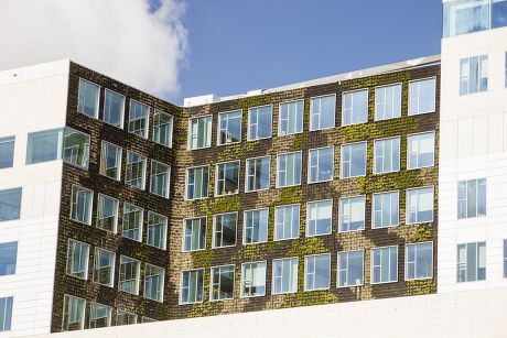 34 Facade greenery Stock Pictures, Editorial Images and Stock Photos ...