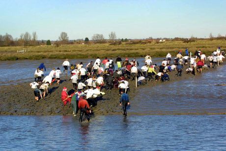Contestants Action During Maldon Mud Race Editorial Stock Photo - Stock ...