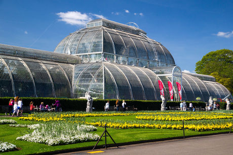 Palm House Royal Botanical Gardens Kew Editorial Stock Photo - Stock ...
