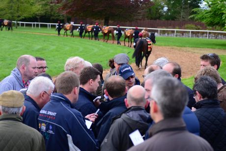 Ballydoyle Stables Investec Epsom Derby Media Editorial Stock Photo ...