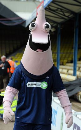 Southend United Fc Mascot Sammy Shrimp Editorial Stock Photo - Stock ...