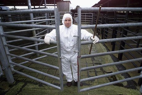 Axminster Market Owner Auctioneer Jim Rowe Editorial Stock Photo ...