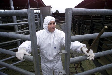 Axminster Market Owner Auctioneer Jim Rowe Editorial Stock Photo ...
