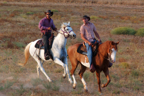 Israeli Cowboys Riding Their Horses Golan Editorial Stock Photo - Stock ...
