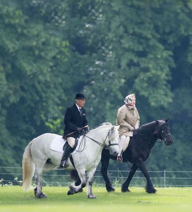 queen elizabeth ii animals Stock Photos (Exclusive) | Shutterstock