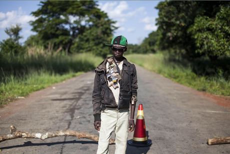 500 Balaka Stock Pictures, Editorial Images and Stock Photos | Shutterstock