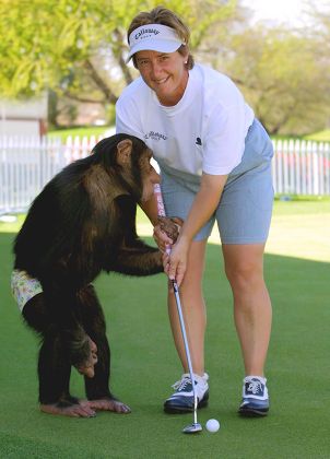 Alison Nicholas Playing Golf Angel Chimp Editorial Stock Photo - Stock ...