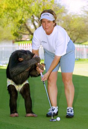 Alison Nicholas Playing Golf Angel Chimp Editorial Stock Photo - Stock ...