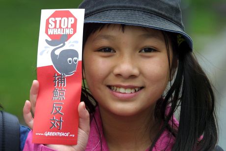 Global Day Action Stop Commercial Whaling Editorial Stock Photo - Stock ...
