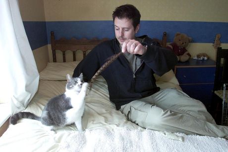 62 Cat accident Stock Pictures, Editorial Images and Stock Photos ...