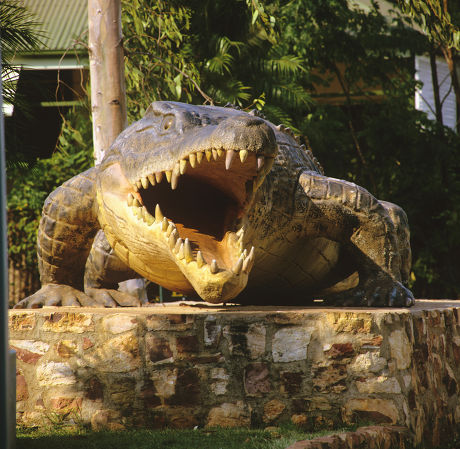 Lifesized Reconstruction Largest Authenticated Estuarine Crocodile ...