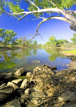 Billabong Floodplain Limmen Bight River Broadmere Editorial Stock Photo ...