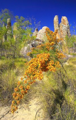 Pillars Sandstone Lost City Escarpment Native Editorial Stock Photo ...