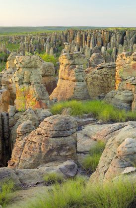 Pillars Sandstone Lost City Escarpment Broadmere Editorial Stock Photo ...