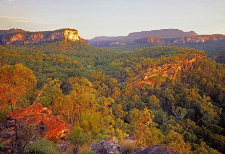 Warrumbah Bluff Left Bulimba Bluff Bulkano Editorial Stock Photo ...