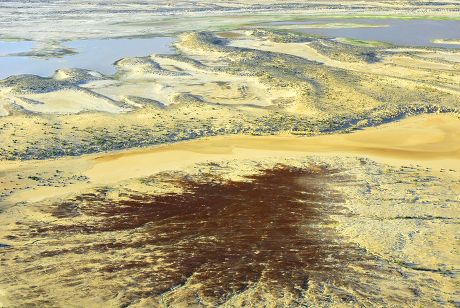 Patch Desert Pavementfine Gibber Amid Dunes - Foto de stock de ...