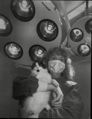 Television Programme Catcall Actress Liza Goodard Editorial Stock Photo ...
