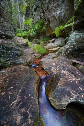 Wards Canyon Carnarvon Gorge Section Carnarvon Editorial Stock Photo ...