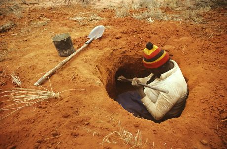 Aboriginal Women Digging Honeypot Ants Editorial Stock Photo - Stock ...