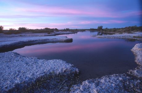 Sandfire Salt River Near Broome Western Editorial Stock Photo - Stock ...
