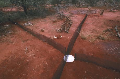 5 Artinga Stock Pictures, Editorial Images and Stock Photos | Shutterstock