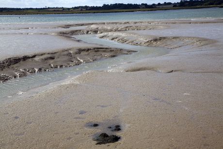 27 Alluvium Stock Pictures, Editorial Images and Stock Photos ...