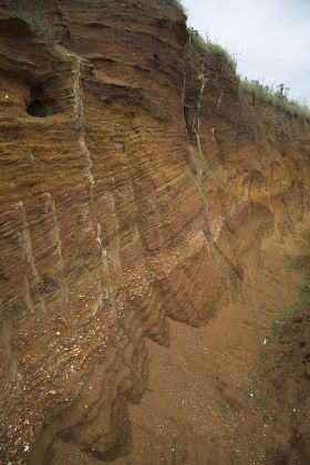 Red Crag Rock Deposits Shells Cross Editorial Stock Photo - Stock Image ...