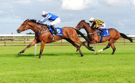 Fairyhouse Photo Call Wayne Lordan Beating Editorial Stock Photo ...