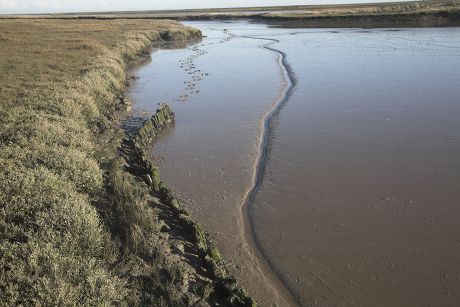 27 Alluvium Stock Pictures, Editorial Images and Stock Photos ...