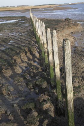 27 Alluvium Stock Pictures, Editorial Images and Stock Photos ...