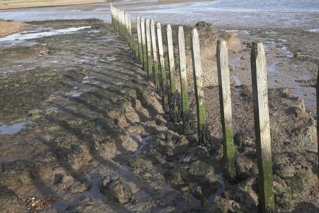 27 Alluvium Stock Pictures, Editorial Images and Stock Photos ...