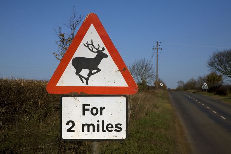45 Sign for deer Stock Pictures, Editorial Images and Stock Photos ...