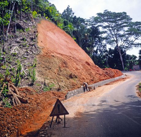 47 Mass deforestation Stock Pictures, Editorial Images and Stock Photos ...