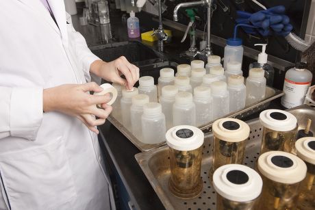 Model Released Scientist Labeling Chemical Bottles Editorial Stock ...