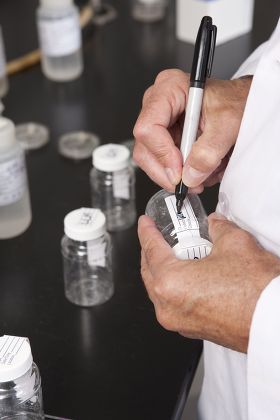 Model Released Scientist Labeling Sample Bottles Editorial Stock Photo ...