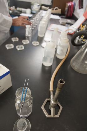 Model Released Scientist Preparing Sample Bottles Editorial Stock Photo ...