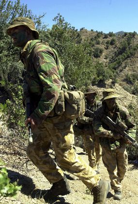 Royal Marines 45 Commando Patrolling Jacana Editorial Stock Photo ...