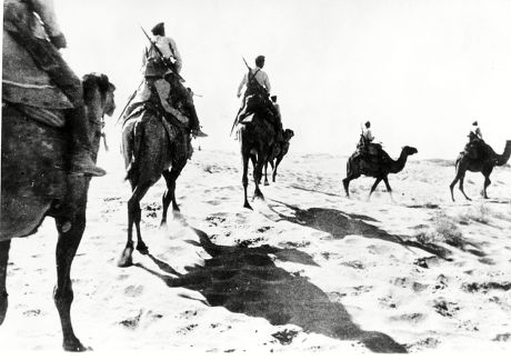 66 Camel cavalry Stock Pictures, Editorial Images and Stock Photos ...