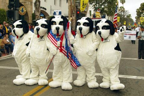 Parade Participants Dressed Dogs Editorial Stock Photo - Stock Image ...