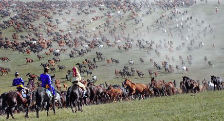 Herding Yili Horses Across Kunes Grassland Editorial Stock Photo ...