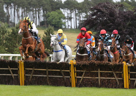 Alderbrook Lad Ridden By Joe Colliver Editorial Stock Photo - Stock ...