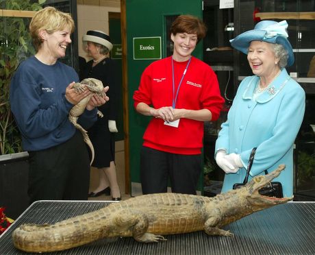 Queen Elizabeth Ii Bart Bosc Monitor Editorial Stock Photo - Stock ...