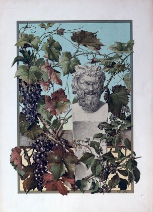 Plant Grapes Bacchus Wine Mythology Vine Editorial Stock Photo - Stock ...